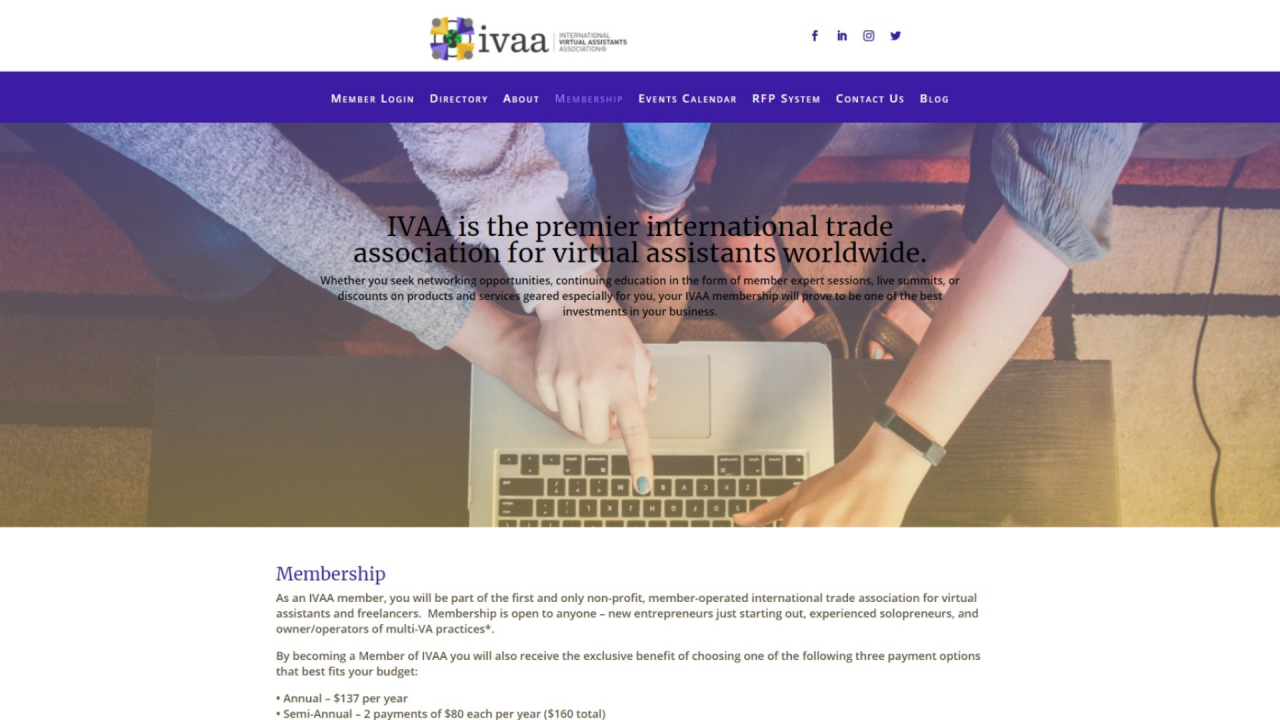 IVAA - Brand Scrubbers